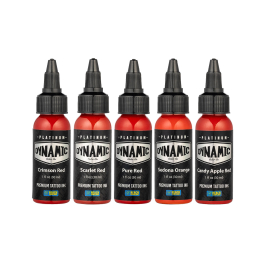 Platinum by Dynamic Tattoo Ink - Envy Set 5x 30 ml